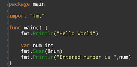 Go Programming Compiler Android App