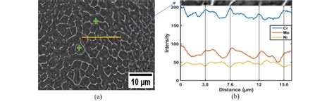 A Scanning Electron Microscopy Sem Image Showing Equiaxed Colonies On Download Scientific