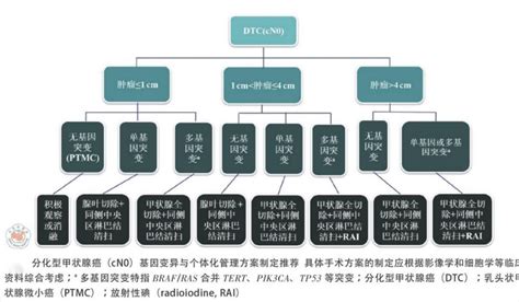BRAF基因检测甲状腺癌诊疗的最佳拍档