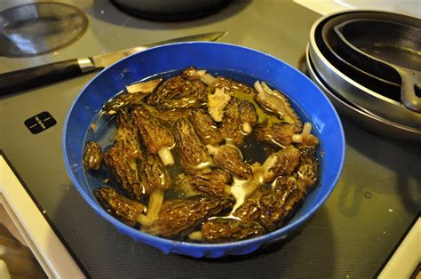 Writing In The Blackberry Patch The Molly Moochers I Promised You