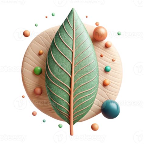 Wonderful Modern Plant Leaf Structure Diagram Isolated Cutout Original