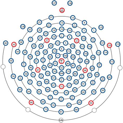 A Schematic Representation Of Hydrocel Geodesic Sensor Net Hcgsn 128 Download Scientific
