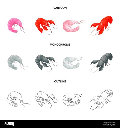 Vector Vectors Stock Vector Image Art Alamy