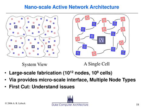 Ppt Computer Architectures For Dna Self Assembled Nanoelectronics Powerpoint Presentation Id