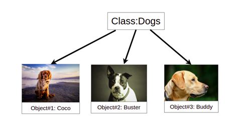 Python “is” And “is Not” Explained Using Examples Embedded Inventor