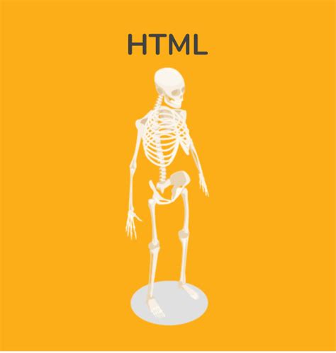 5 Essential Skills For Front End Web Development Motawreen