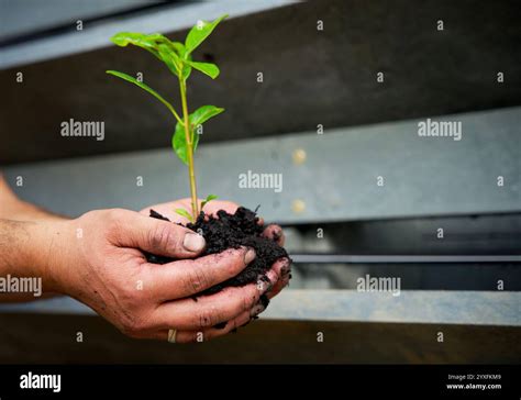 Carbon Farming Compost Potting Soil Hold Growing Season Substrate