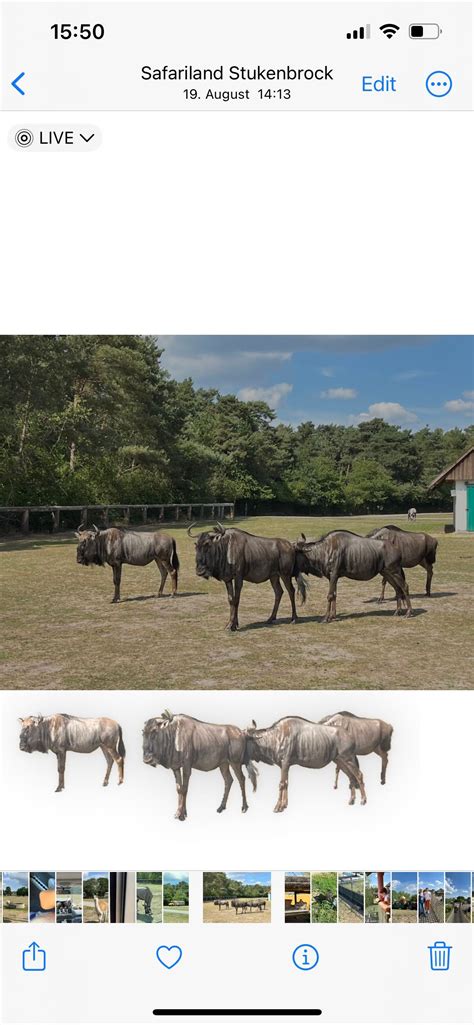 Ios 16 Vs Android 13 Which Smartphone Os Is The Best