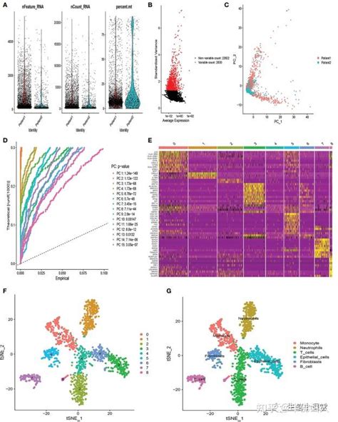 又见8基于单细胞marker基因的纯生信文章，仍然可以模仿并超越！ 知乎