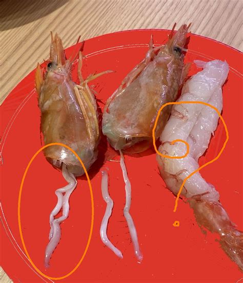 Jessada เส้นขาวๆ ในกุ้ง น่าจะเป็นท่ออสุจิ ครับ เพื่อนไปทานที่ร้านอาหารญี่ปุ่นร้านหนึ่งในห้าง