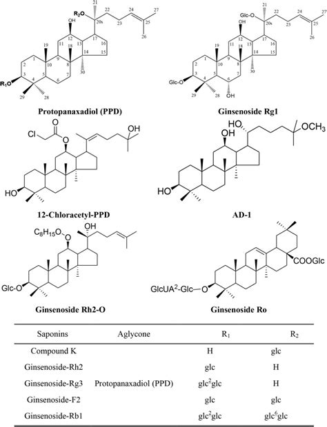 Role Of Ginsenosides In Reactive Oxygen Species Mediated Anticancer Therapy Abstract Europe PMC