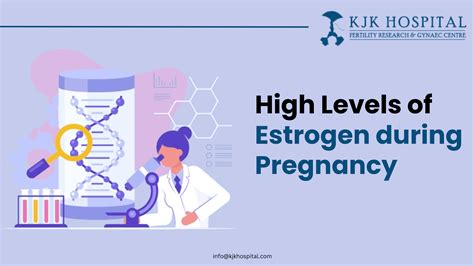 Everything To Know About High Levels Of Estrogen During Pregnancy