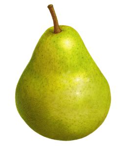 Pear Color Hex Code Is D1E231 Pear Color Hex Code Is D1E231