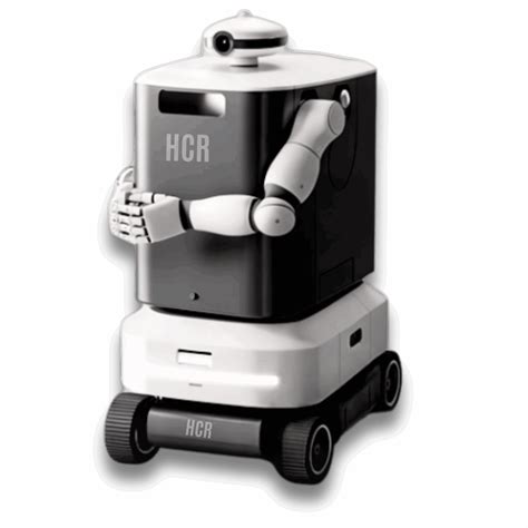 Humanoid Robotics Limited