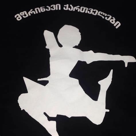 მფრინავი ქართველები