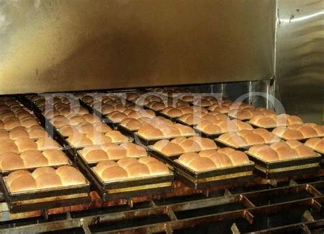 Automatic Bread Plant Capacitykghr 500 At ₹ 2000000piece In