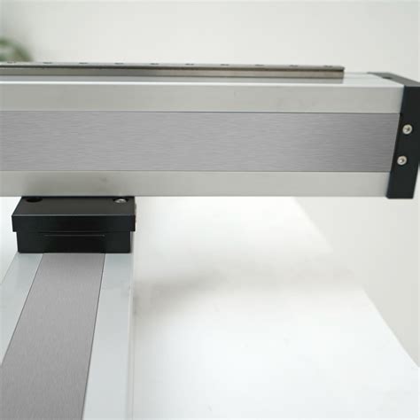 사례 연구 Fuyu 선형 갠트리 시스템 맞춤형 스트로크 액츄에이터 방진 레일 가이드 Fuyu Technology Co Ltd