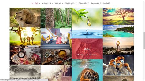 Brighter Photography CMS PHP Script By Brightery Codester