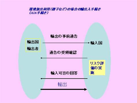 議定書概要