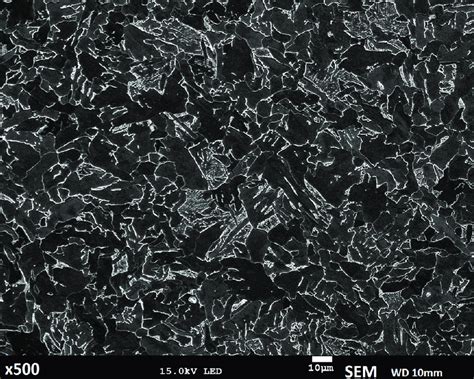 Microstructure Of The Substrate Material Download Scientific Diagram