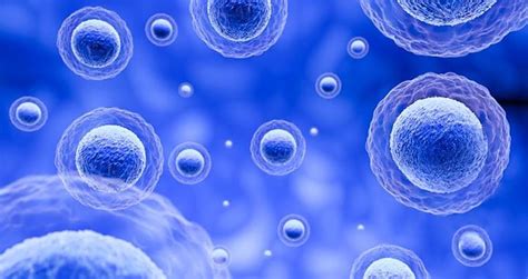 干细胞回输安全可靠，延续生命！ 知乎