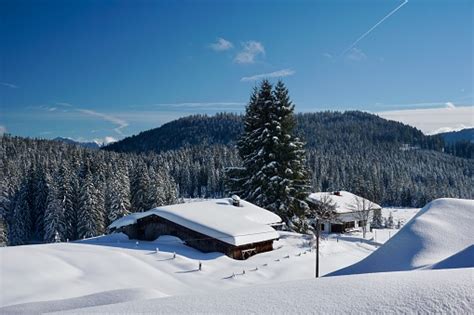 바이에른의 겨울 동화 오스트리아의 겨울 숲 거대한 스노우 드리프트 태양은 침엽수 림의 가지를 뚫고 나간다 숲에 손길이 닿지 않은 눈을 아름답게 누워 있습니다 안녕 눈 냉동