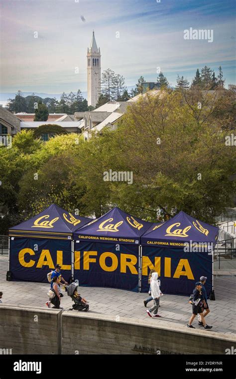 Looking Up At This Is Bear Territory Cal Football Sign On The Side Of Memorial Stadium On The