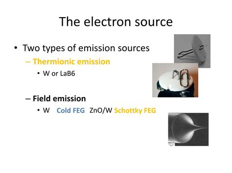 Ppt The Transmission Electron Microscope Powerpoint Presentation