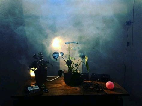 Susan Risdale Posted On Linkedin