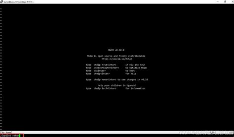 Nvim Setup Copilot For Code Assit