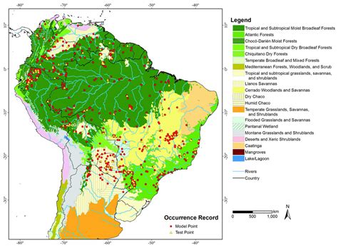 Lowland Tapir Distribution And Habitat Loss In South America Peerj