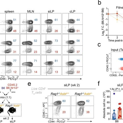 Casey Weaver Professor Full University Of Alabama At Birmingham