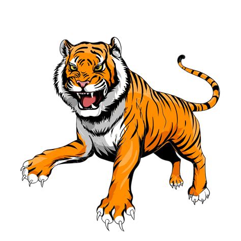 Colorful Roaring Royal Bengal Tiger Illustration Tiger Tiger Illustration Tiger Vector Png