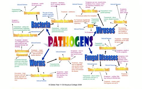 Lots Of Maps Concept Map