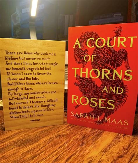 Acotar Amarantha Riddle Plague Sarah J Book Lovers Quote Plaques