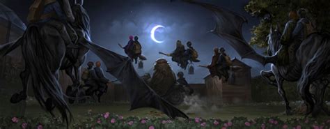 Battle Of The Seven Potters Harry Potter Wiki Fandom