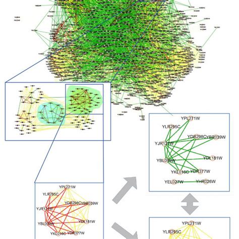 The Overview Of The Ct Ppi Modules Detecting Method In The Network Download Scientific Diagram