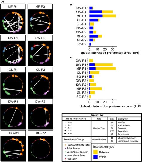 A The Simplified Network Using An Arbitrary Cutoff Of 04 In Pearson Download Scientific