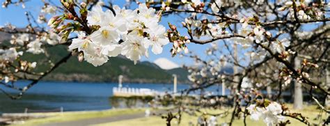 Sustainability Steps The Prince Hakone Lake Ashinoko