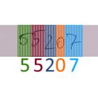 Coding Vision Dans Programming Notebook