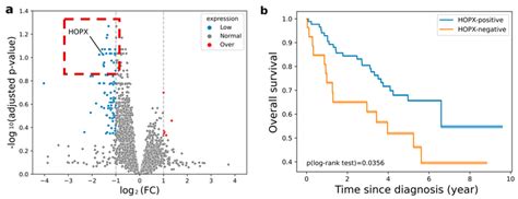 A Volcano Plot For The Relationship Between Differential Expression Download Scientific