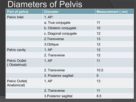 Anatomy Of Female Pelvis And Fetal Diameters 2020pptx