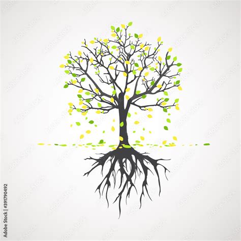 Abstract Tree With Roots Vector Outline Illustration Plant In Garden Stock Vector Adobe Stock