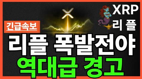 ※긴급뉴스※ Xrp 리플 폭발전야 역대급 경고 Youtube