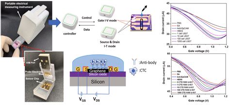 Enhancing Circulating Tumor Cell Capture Amin Functionalized Bilayer Graphene Biosensing With