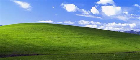 Microsoft Windows XP Source Code Leaked Online Software News HEXUS Net