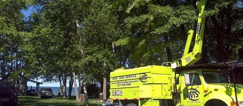 Tree Pruning Simcoe Muskoka ON Wes Tree Services