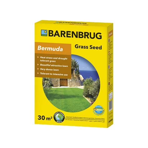 Transcontinental Bermudagrass Barenbrug Lawn Seeds Verde Commerce