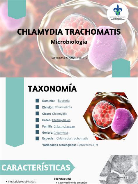Características Y Patogenia De C Trachomatis Pdf Biología Celular