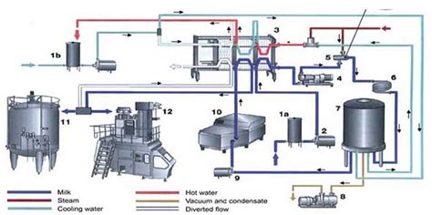 Pasteurization Of Milk Process Procedure And Recent Advancements